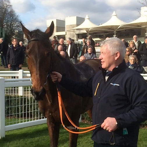 Horse trainer | Kevin Frost Racing | England