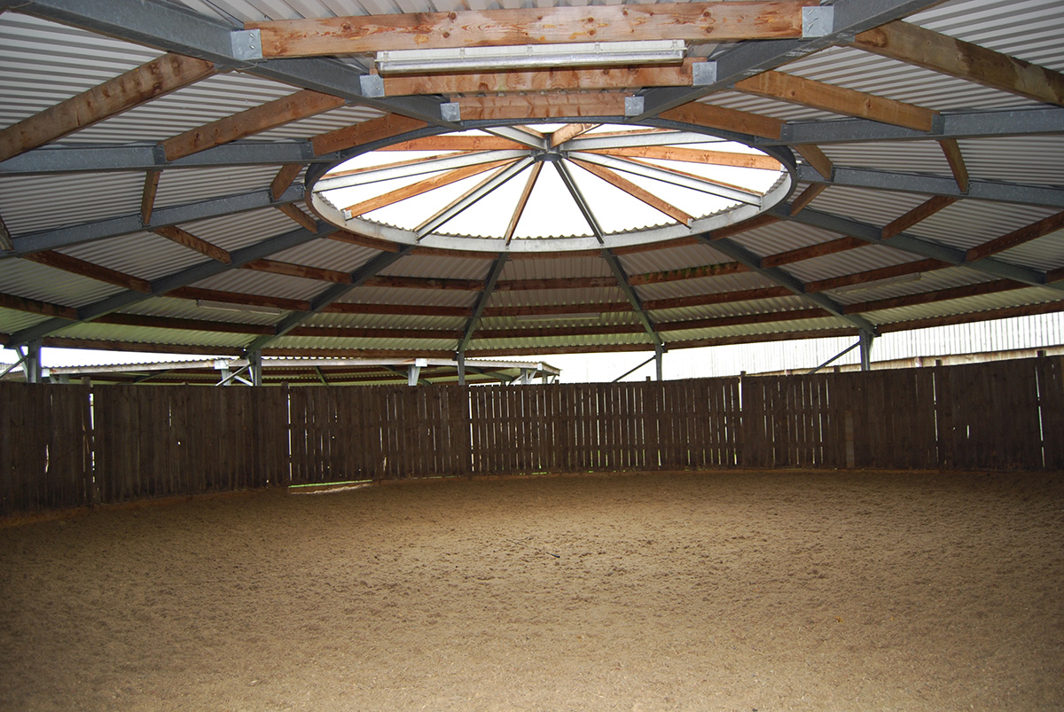 Horse trainer | Kevin Frost Racing | England