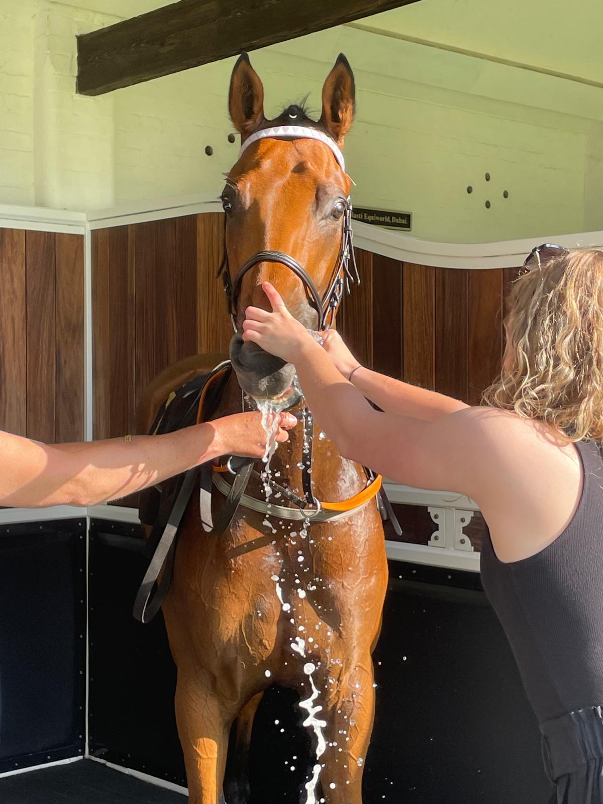 Our Story | Horse trainer | Kevin Frost Racing | England