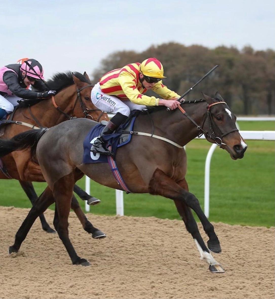 Our Story | Horse trainer | Kevin Frost Racing | England