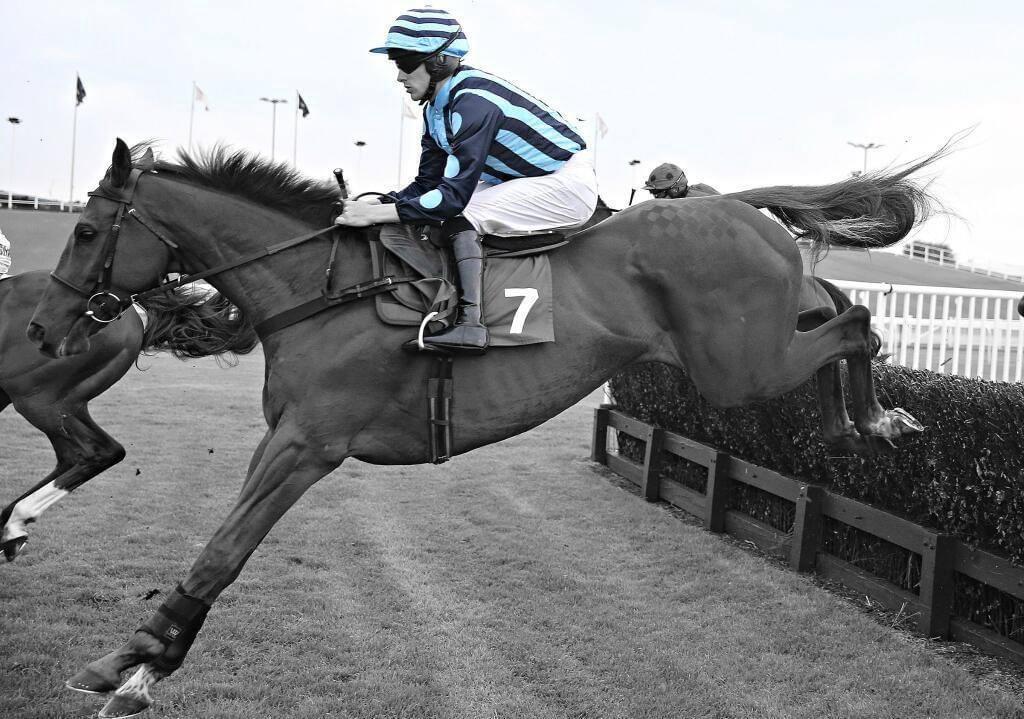 Our Story | Horse trainer | Kevin Frost Racing | England